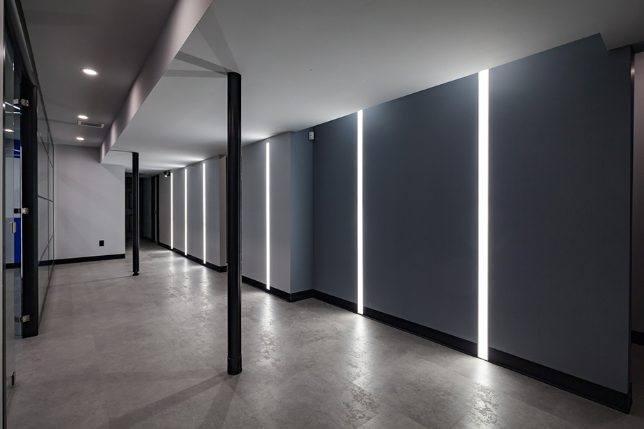 ED VECTOR 2+ Architectural Linear Luminaire