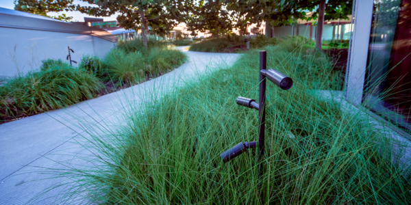 The Lighting Exchange®