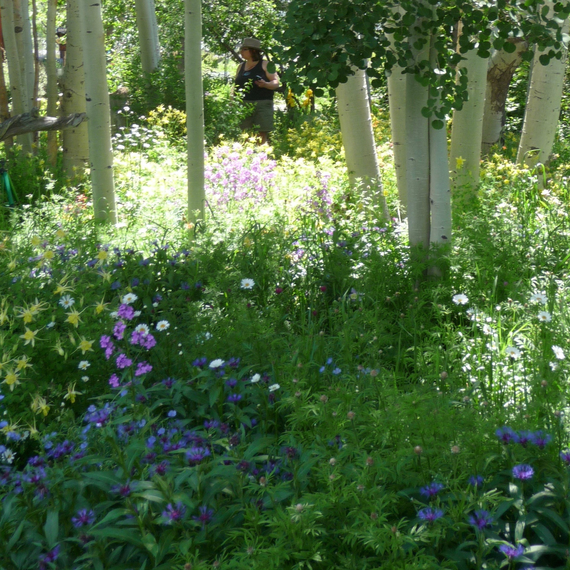 Landscape Painting in Pastel: Spring Greens | Artists Network