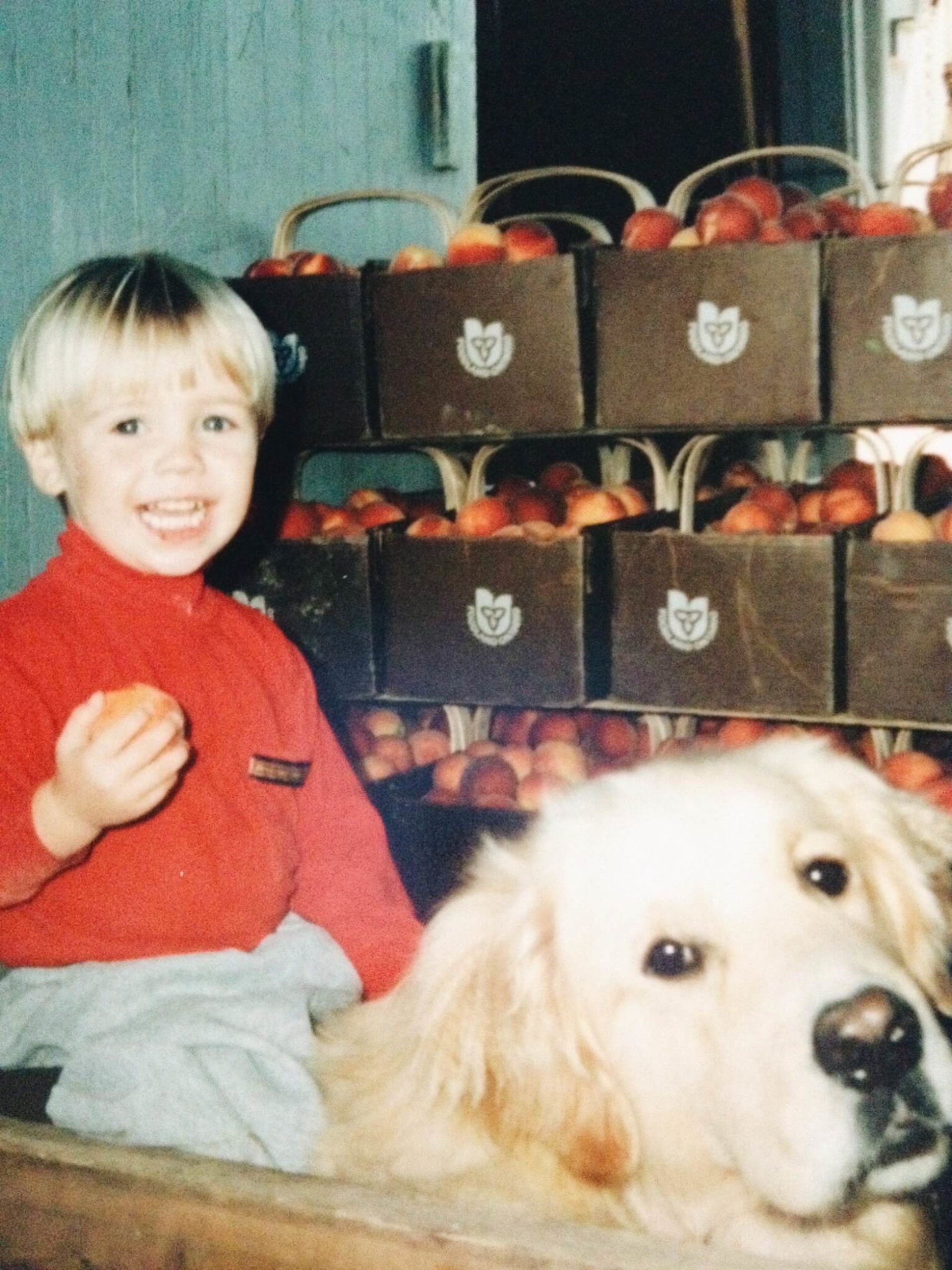 Luke Whitty se nourrit de ses passions | lg2