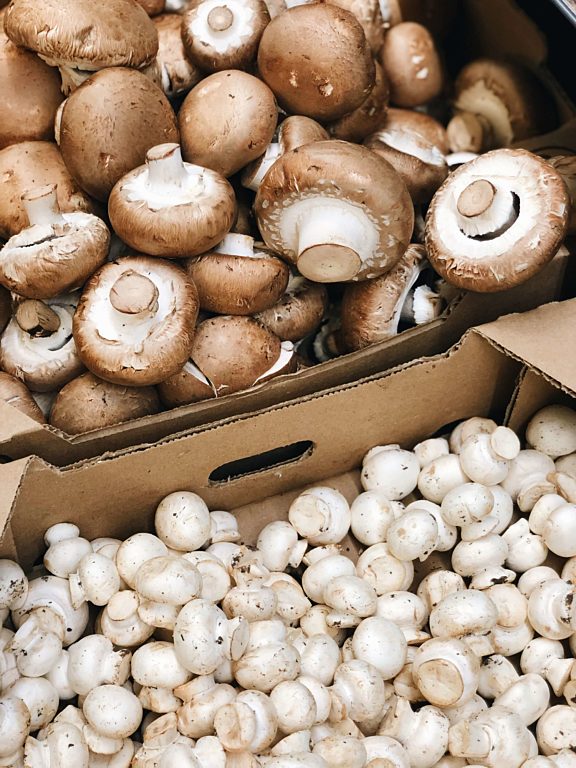 Life at lg2: Luke Whitty cultivating his passions | lg2