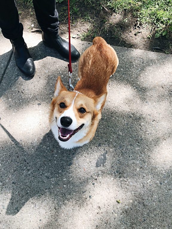 Life at lg2: Luke Whitty cultivating his passions | lg2