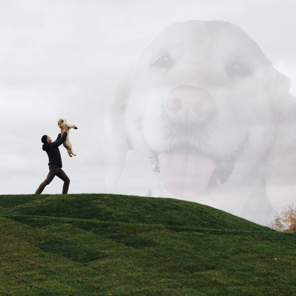 Life at lg2: Luke Whitty cultivating his passions | lg2