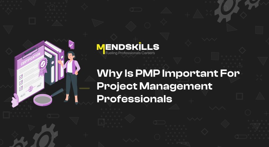 Why is PMP Important for Project Management Professionals - Career ...