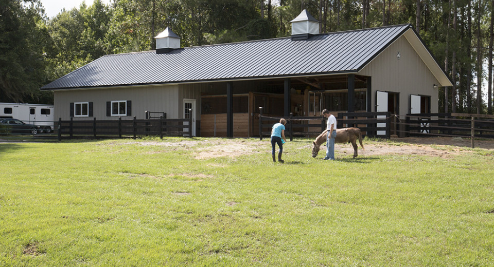 A Workshop-Horse Barn Combo in Central Florida