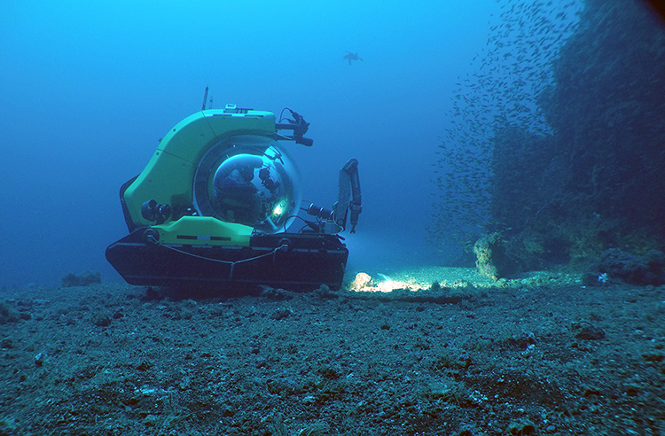 Deep Rover 1 Manned Submersible for Sale | ROV - Dockstr