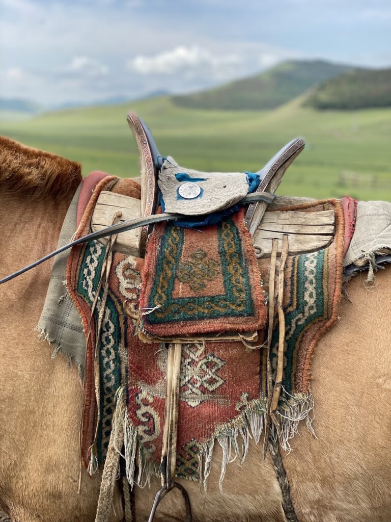 Orbis Featured in Mary Roach’s New Book, Replaceable You: Adventures in ...