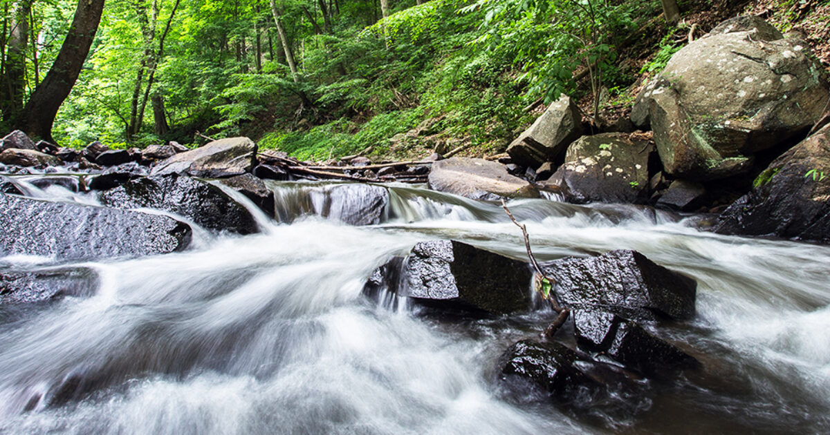Protecting Forests Ensuring Clean Water in the Delaware (2019) - Open ...