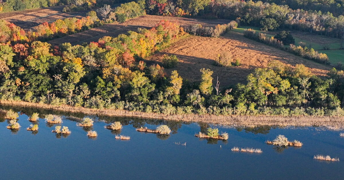 The Open Space Institute and Beaufort County, SC Partner to Acquire and ...