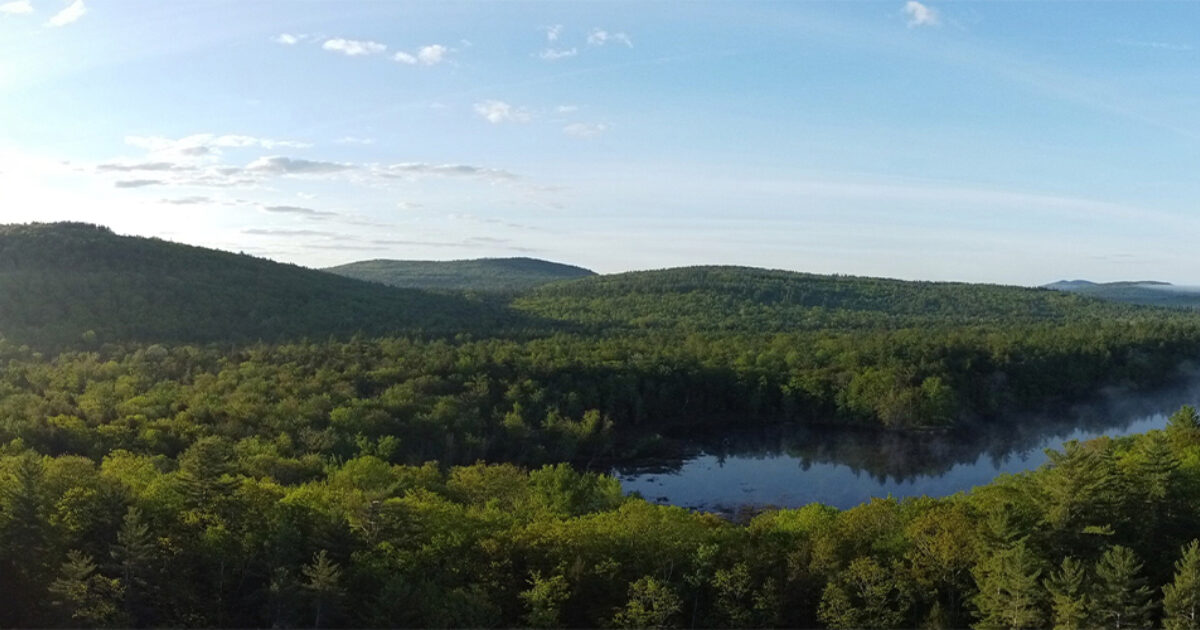 Open Space Institute Supports Addition to Western Maine Conservation Area for Forest Carbon ...