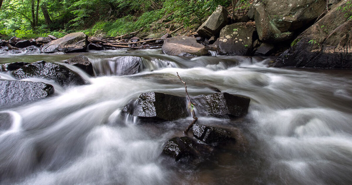 Protecting Forests for Clean Water (2024) - Open Space Institute
