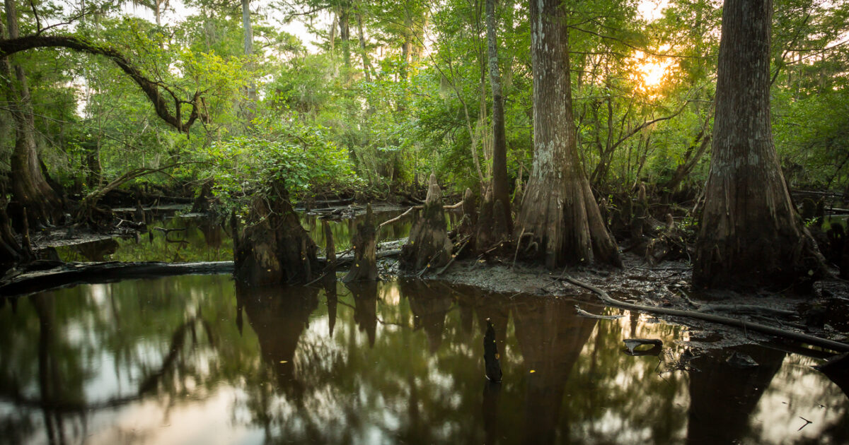 Expanding the Toolbox of Land Conservation (2019) - Open Space Institute