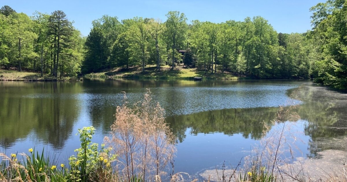 Public Private Partnership Formed to Secure Historic Property on the ...