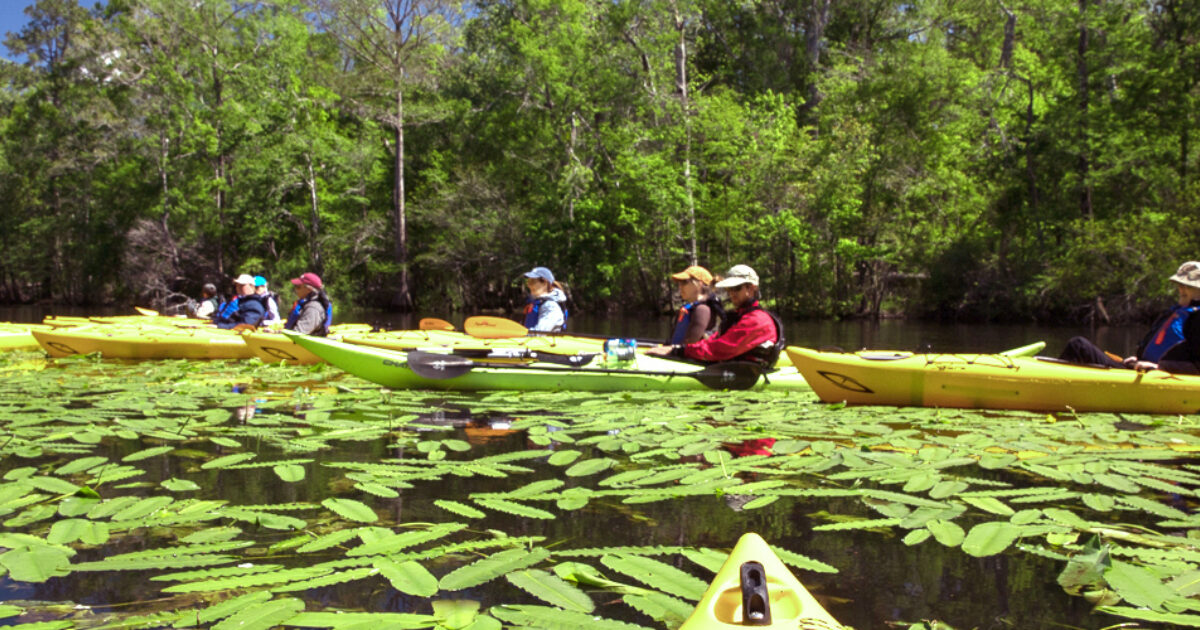 South Carolina Conservation Soars (2019) - Open Space Institute