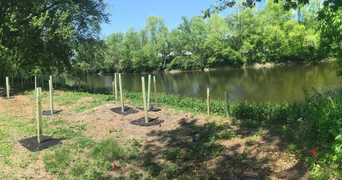 Volunteers Successfully Complete Native Tree Planting at OSI’s River-to ...