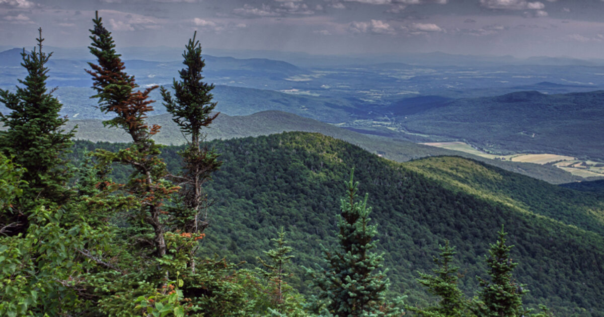 First Transborder Grant Protects Habitat and Jobs - Open Space Institute