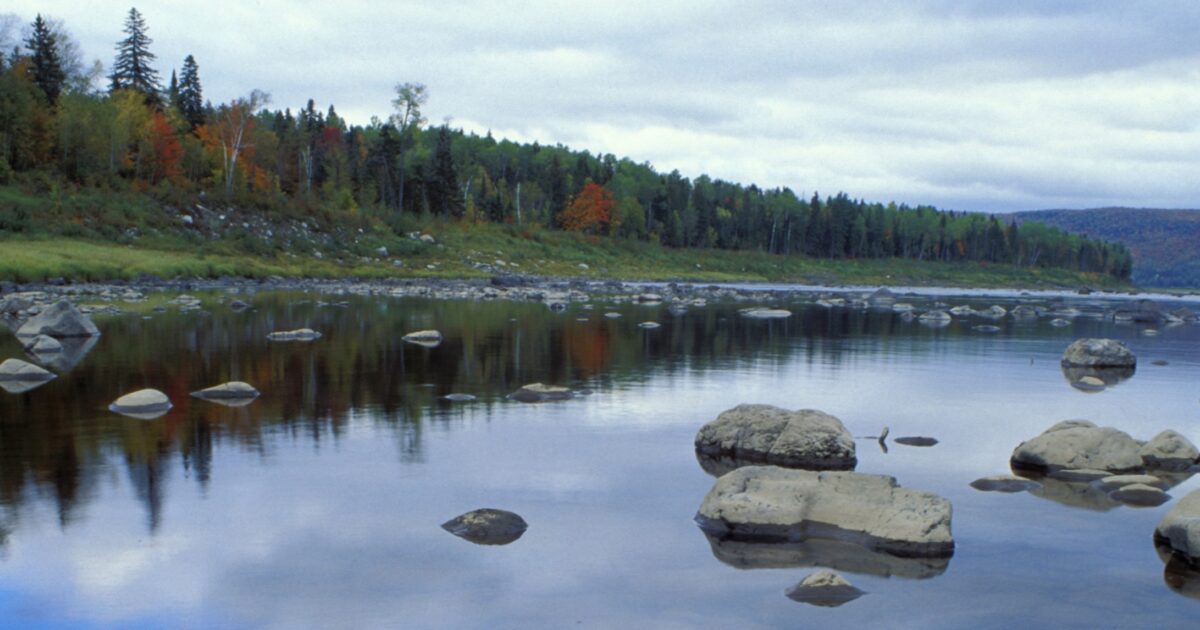 Cross-Border Wildlife Conservation Boost From OSI Transborder Fund ...