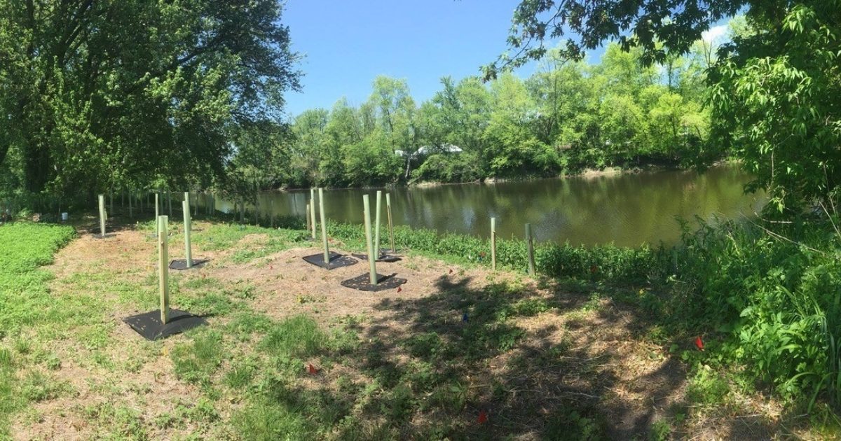 Volunteers Successfully Complete Native Tree Planting at OSI’s River-to ...