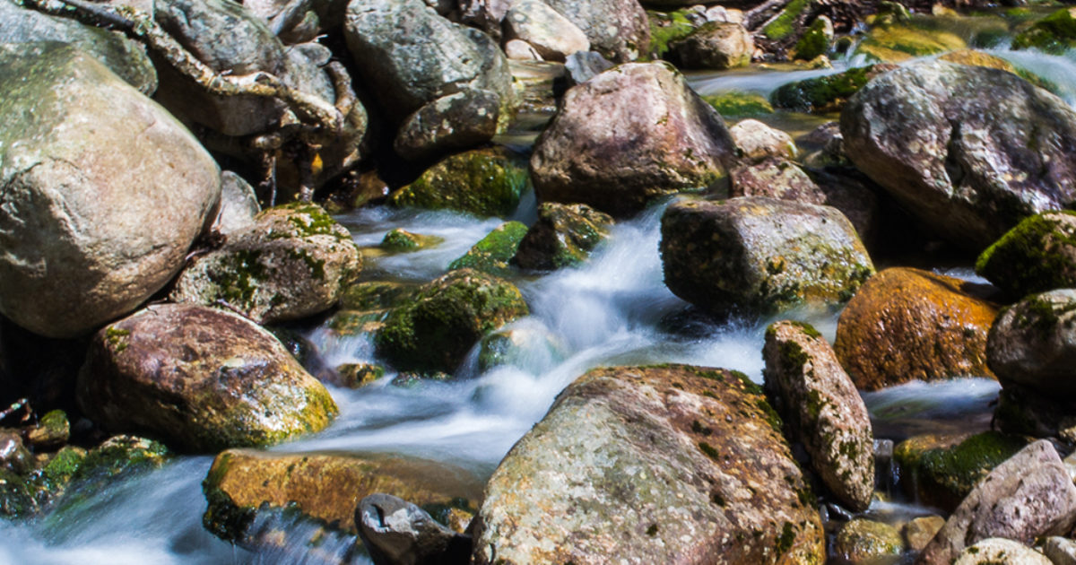 Where and How We Protect Land for Clean Water - Open Space Institute ...