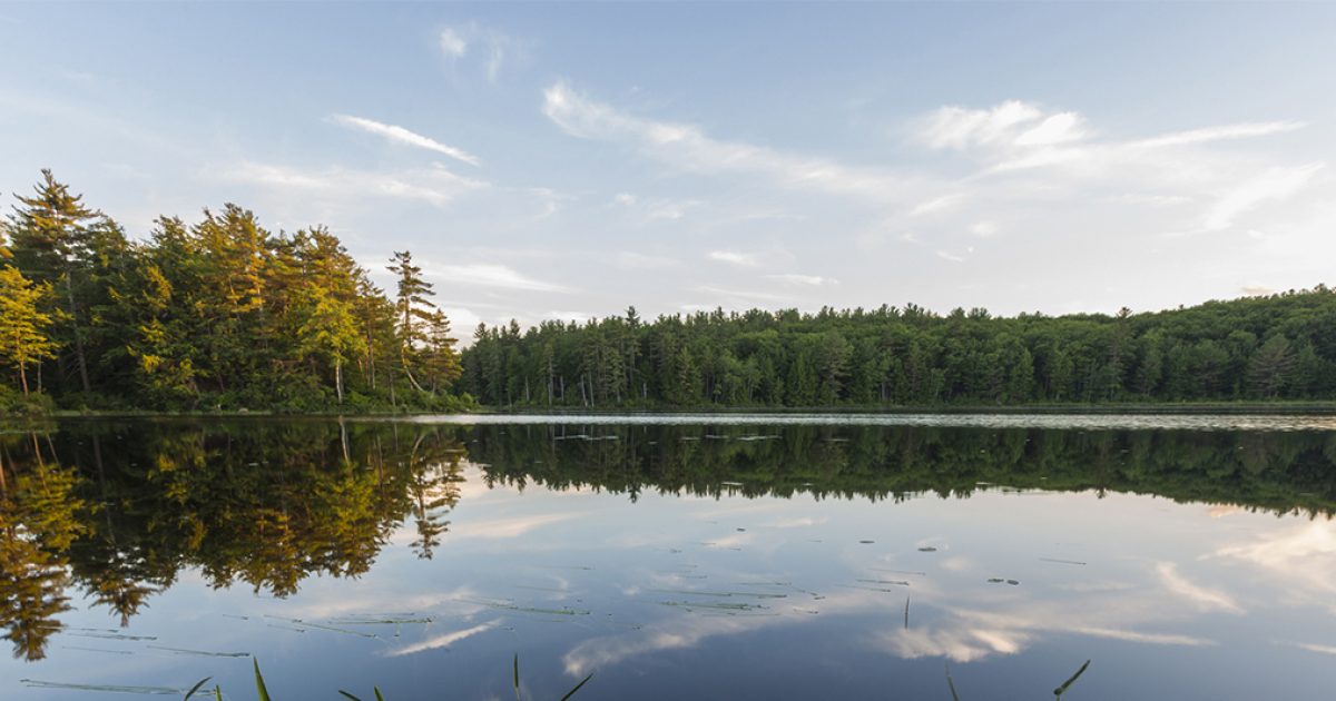 Nation’s Highest-Priority Community Forest Is First Project Completed ...