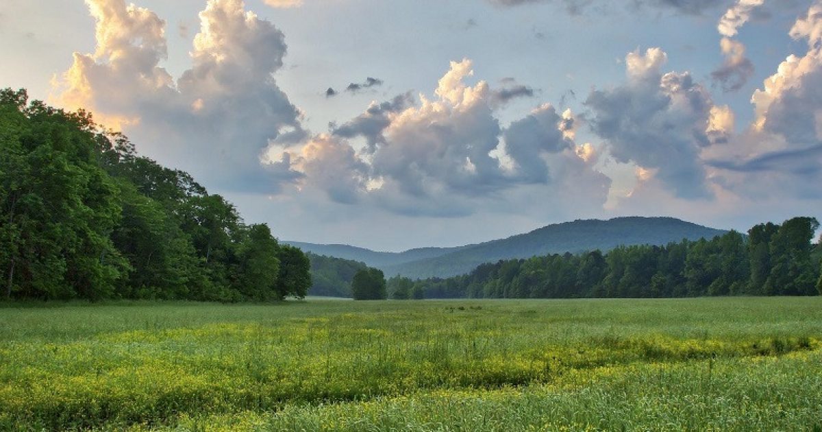 OSI Grant Safeguards Land for Two Central Tennessee Natural Areas ...