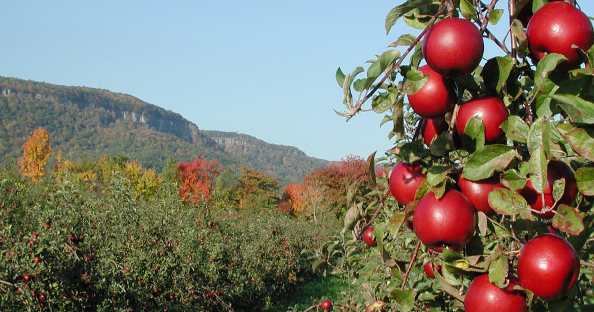 Indian Ladder Farms - Open Space Institute (en-US)