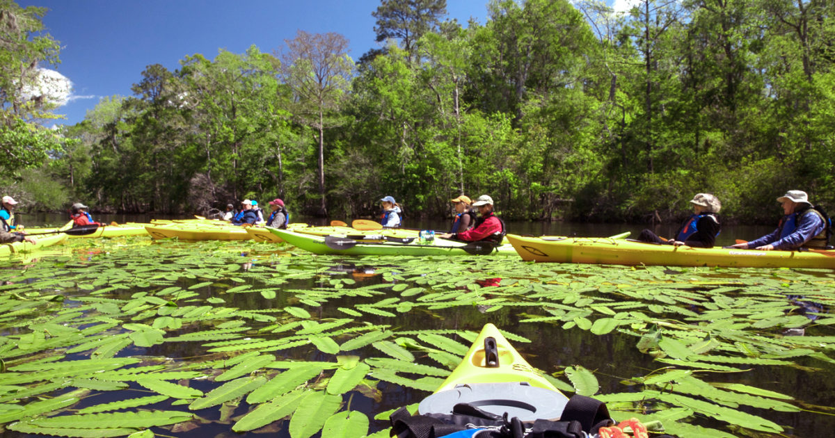 South Carolina Conservation Soars (2019) - Open Space Institute (en-US)