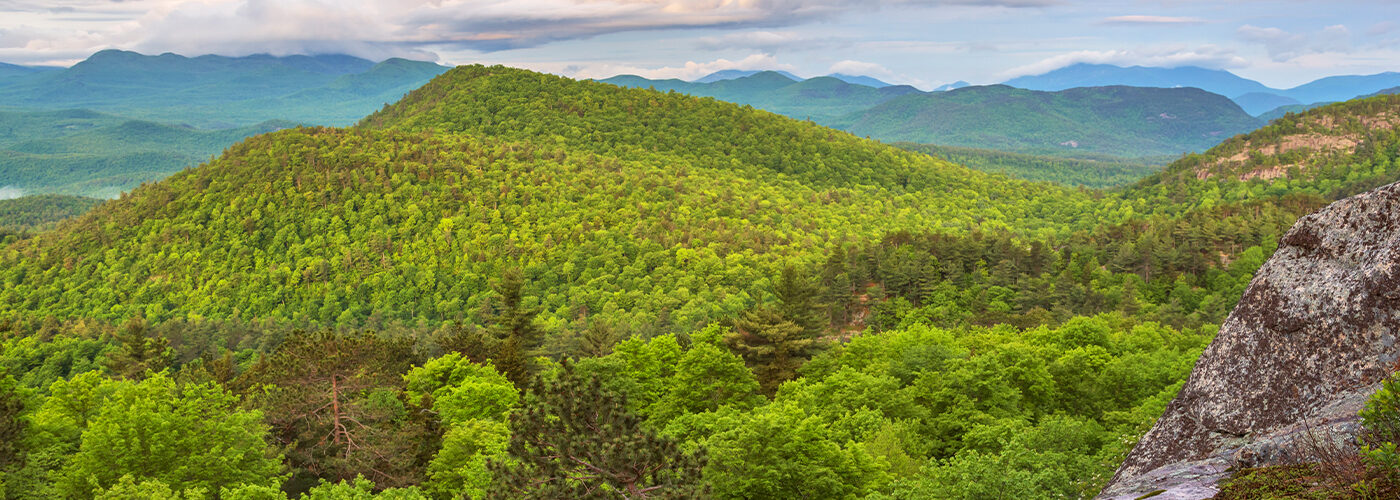 From the DEC Office: DEC Announces 12th Annual Adirondack Stewardship ...