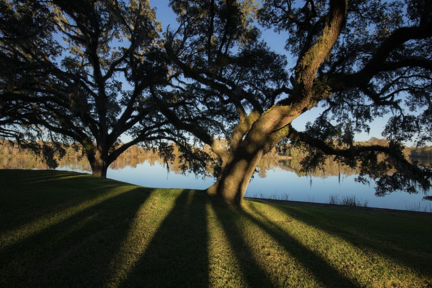 Hasty Point Plantation - Open Space Institute