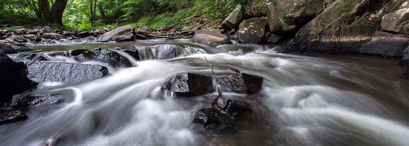 New Report: Forest Protection Promotes Clean Water - Open Space Institute