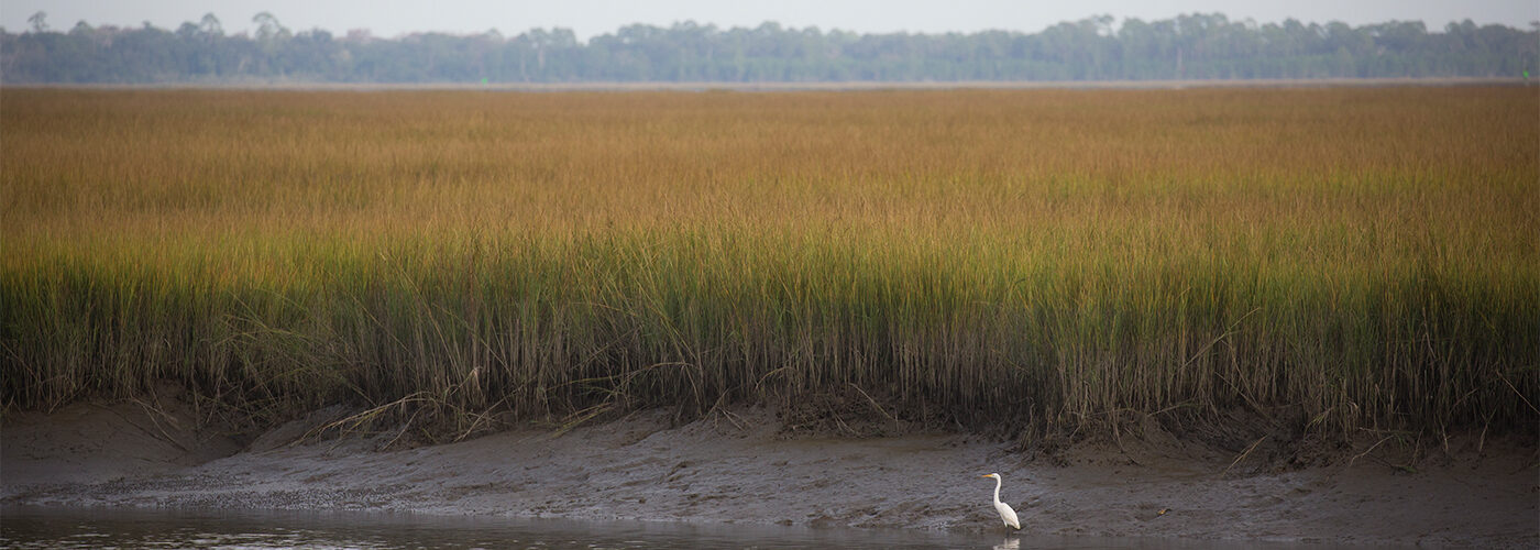 One of the Largest Undeveloped, Unprotected Sites on the Southeast ...