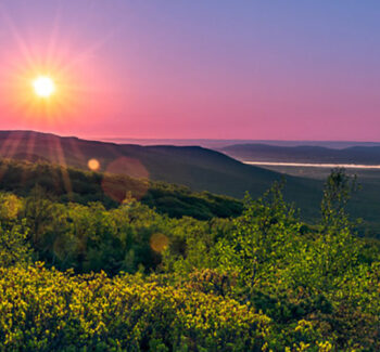 Catalyst Program - Open Space Institute