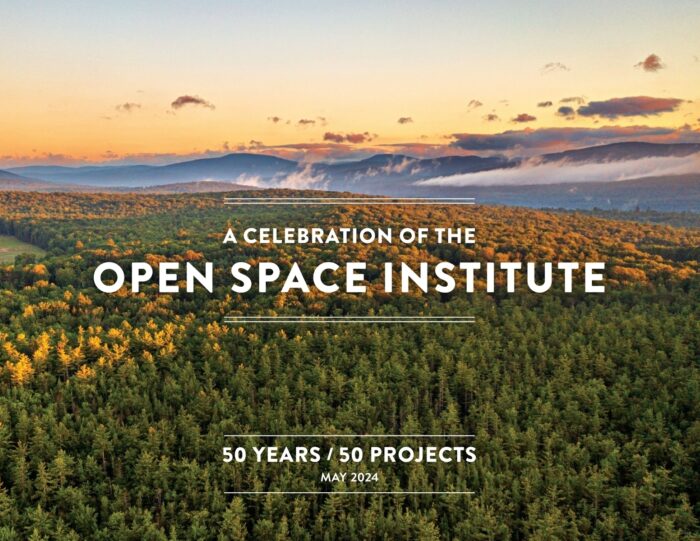A Celebration of the Open Space Institute: 50 Years / 50 Projects (2024 ...