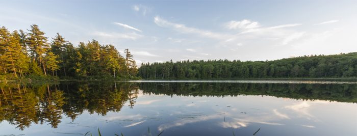 Nation’s Highest-Priority Community Forest Is First Project Completed ...