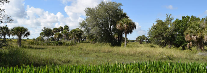 Florida - Open Space Institute