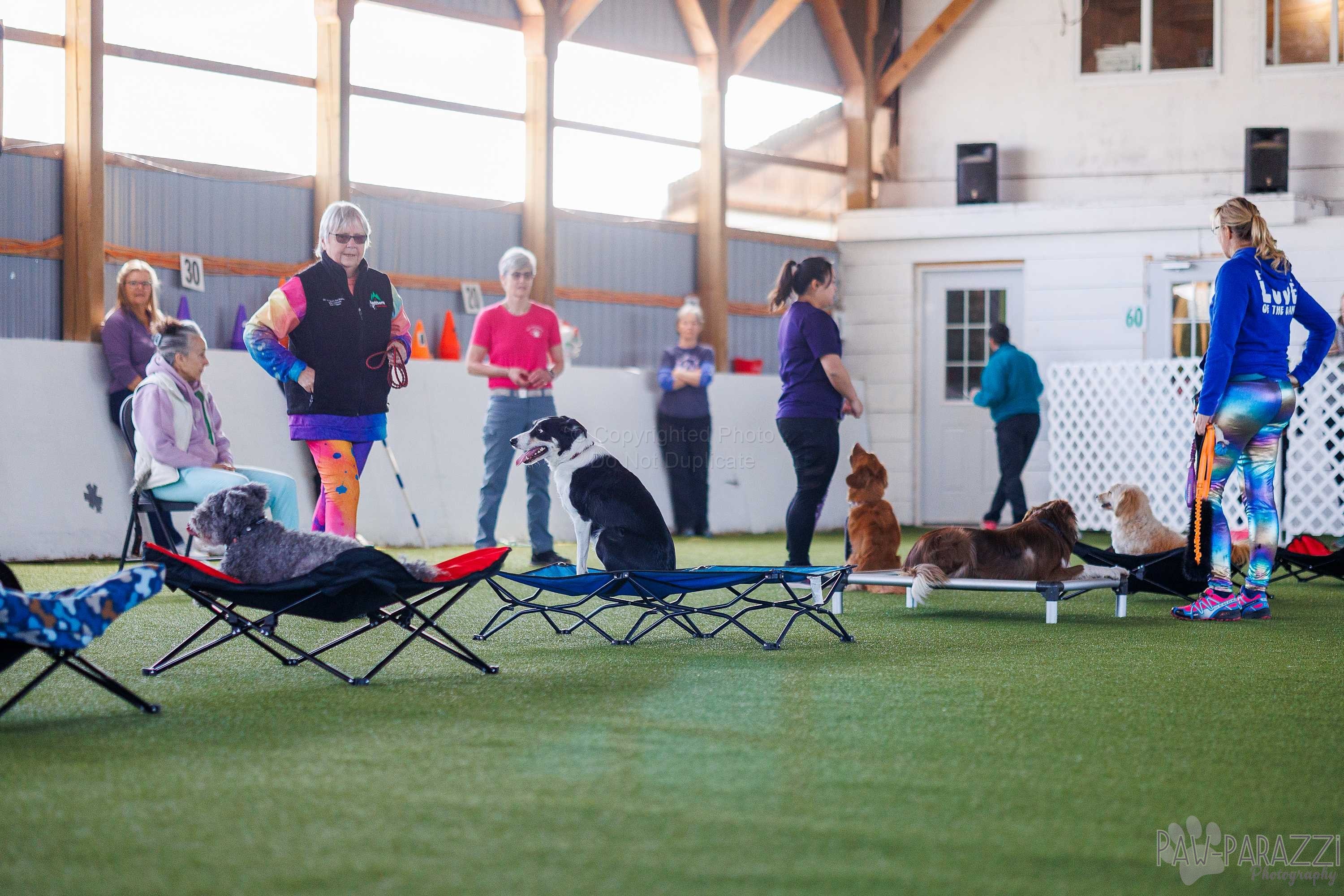 BYC April 2025 - Event Proofs - Paw-Parazzi Photography