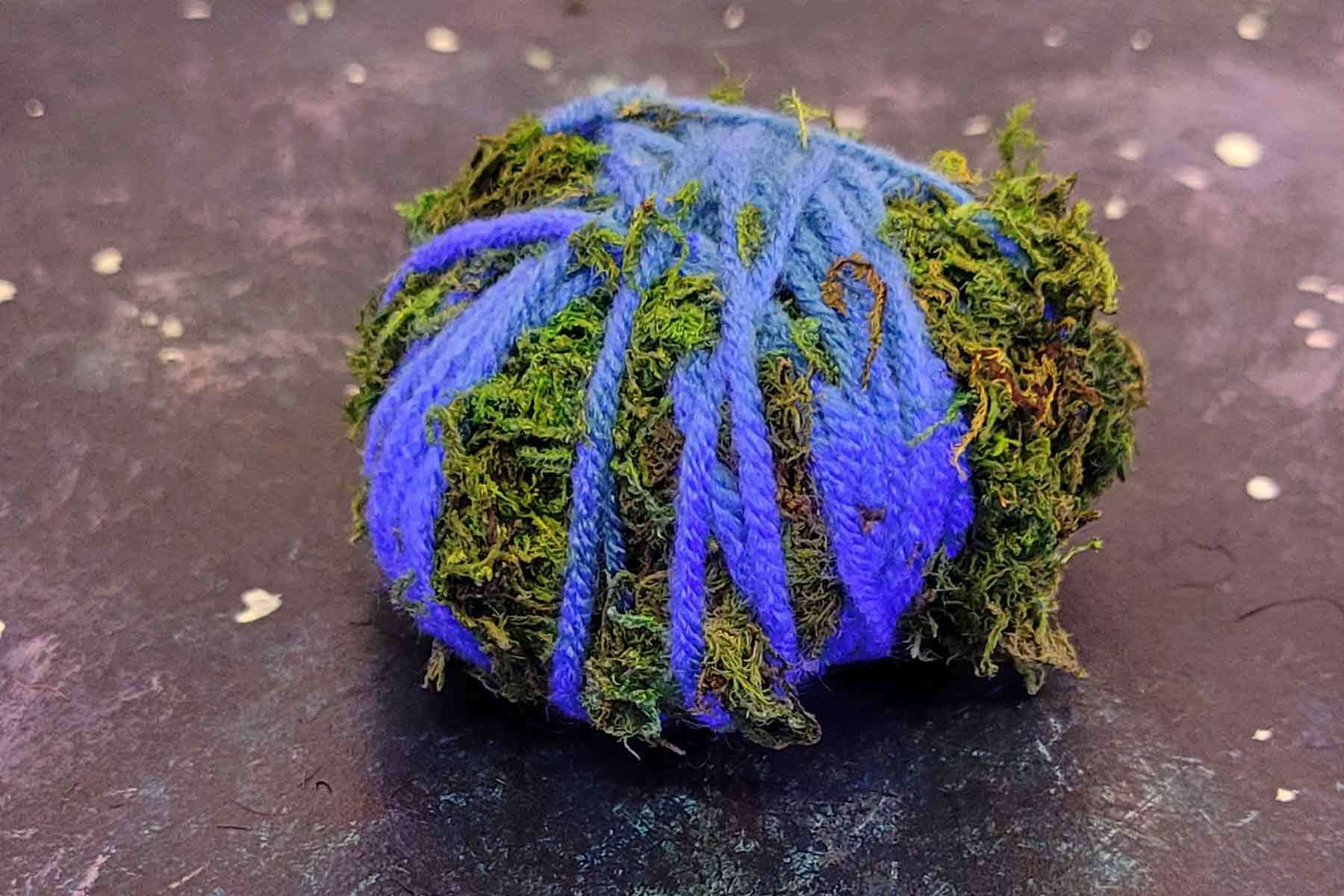 Peabody Essex Museum’s Climate + Environment Initiative