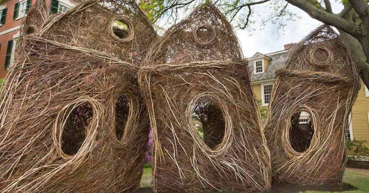 Stickwork: Patrick Dougherty