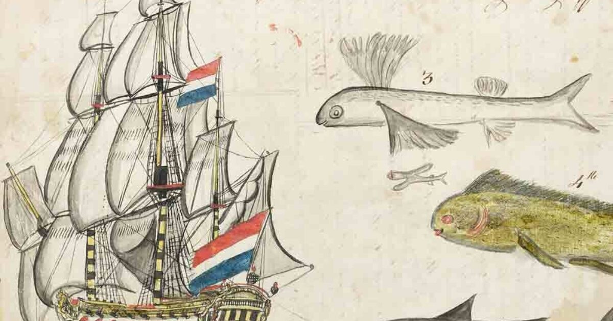 The Phillips Library Online Collections | Explore Our Catalogue