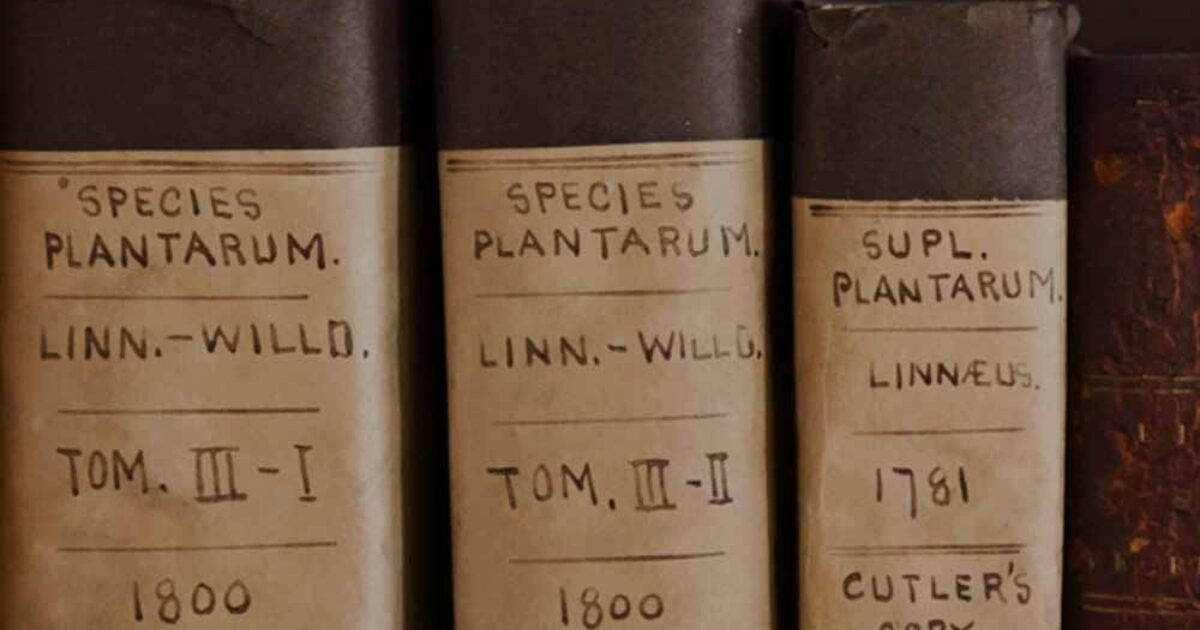 Statement regarding PEM’s Phillips Library