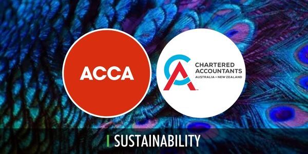 PrimeGlobal | A case study: Demystifying materiality in accordance…