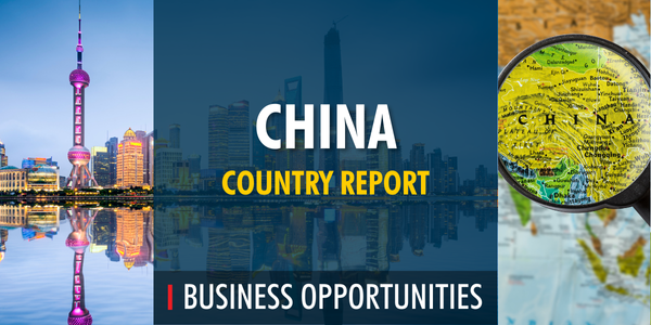 PrimeGlobal | IAB County Report China (PengSheng CPA LLP)