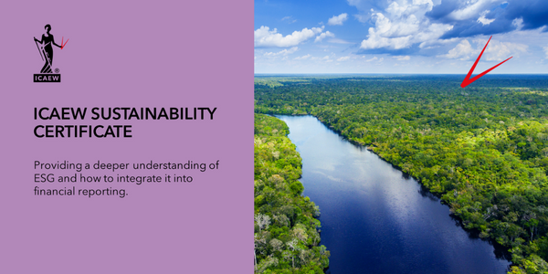 PrimeGlobal | New Sustainability Certificate from ICAEW (ICAEW)