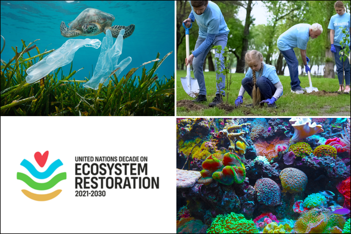 PrimeGlobal | PrimeGlobal Announces New Partnership with Sumthing