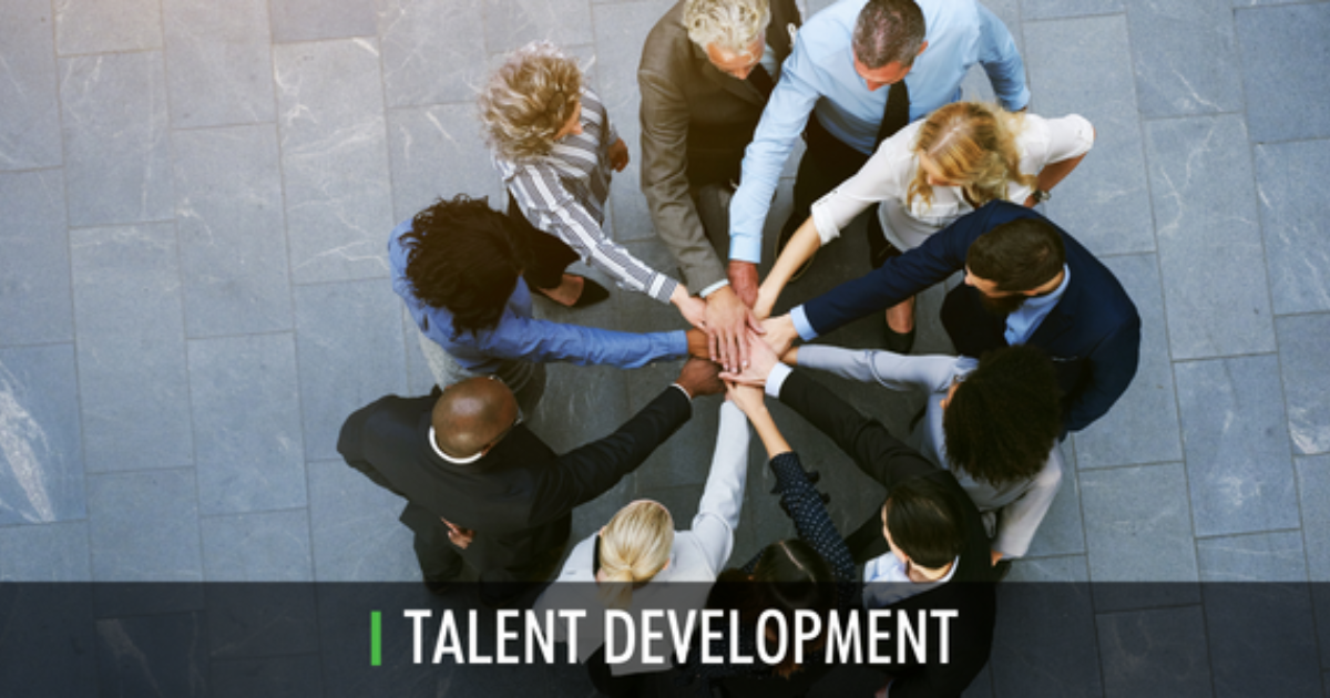 PrimeGlobal | Cultivating Excellence: Thoughts about Building a…