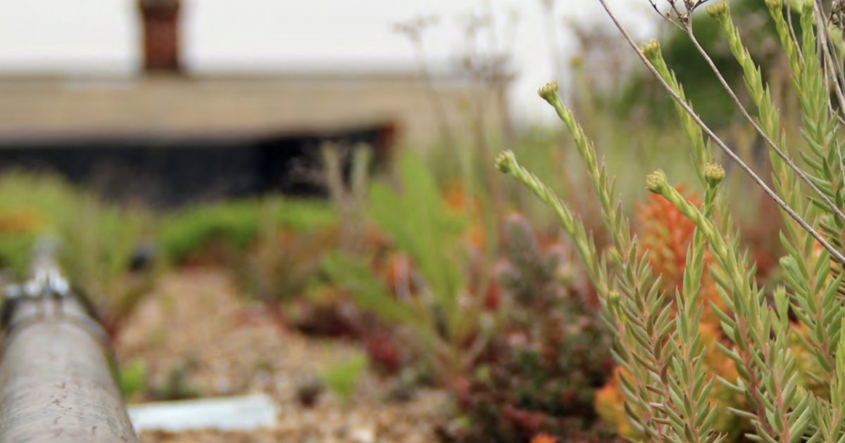 RPA | 9 Ways to Make Green Infrastructure Work for Towns and Cities