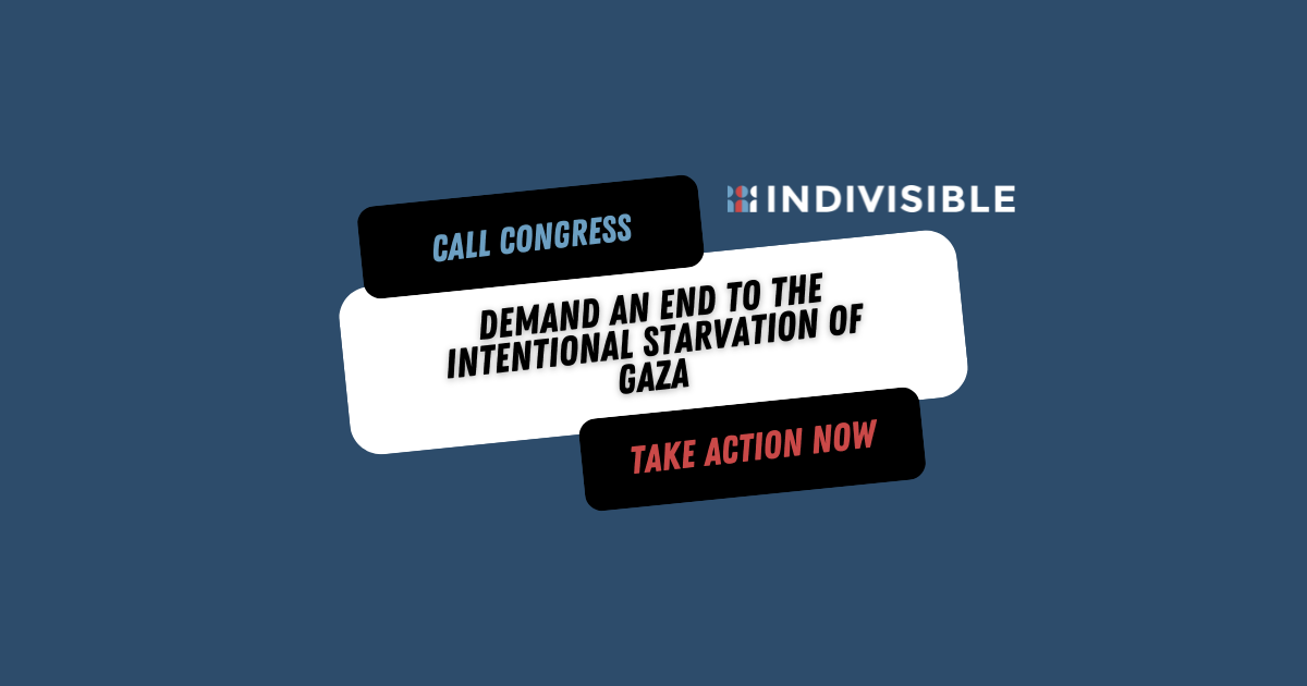 Tell Congress: Gaza aid must flow freely and safely | Indivisible Guide