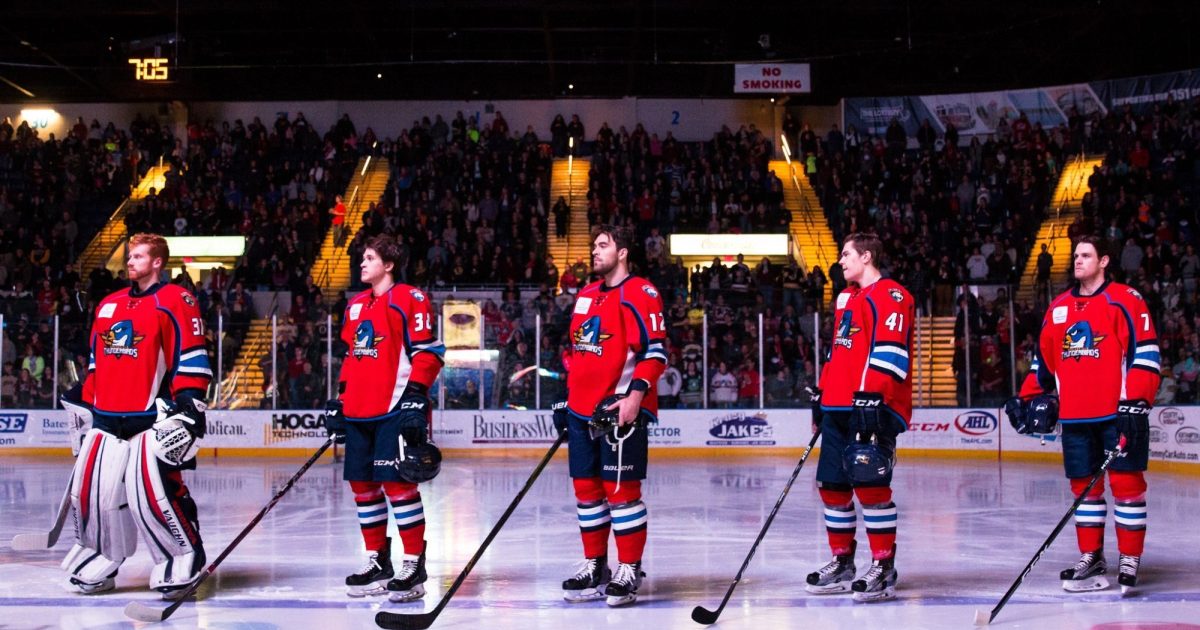 Springfield Thunderbirds | Panthers Recall 3 From Springfield