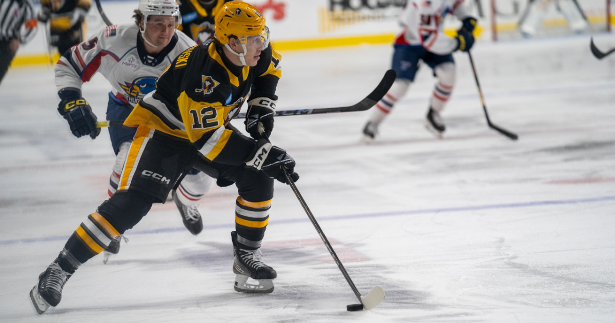 Springfield Thunderbirds | Blues Acquire F Corey Andonovski from…