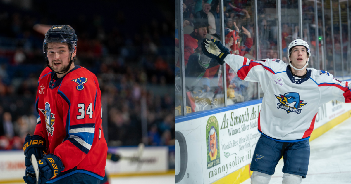 Springfield Thunderbirds | Brown Recalled by Blues; Bitten Assigned…